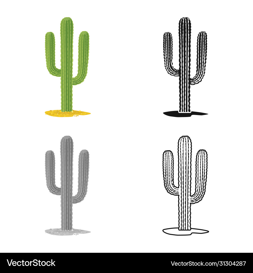 Isolated object cactus and houseplant symbol Vector Image
