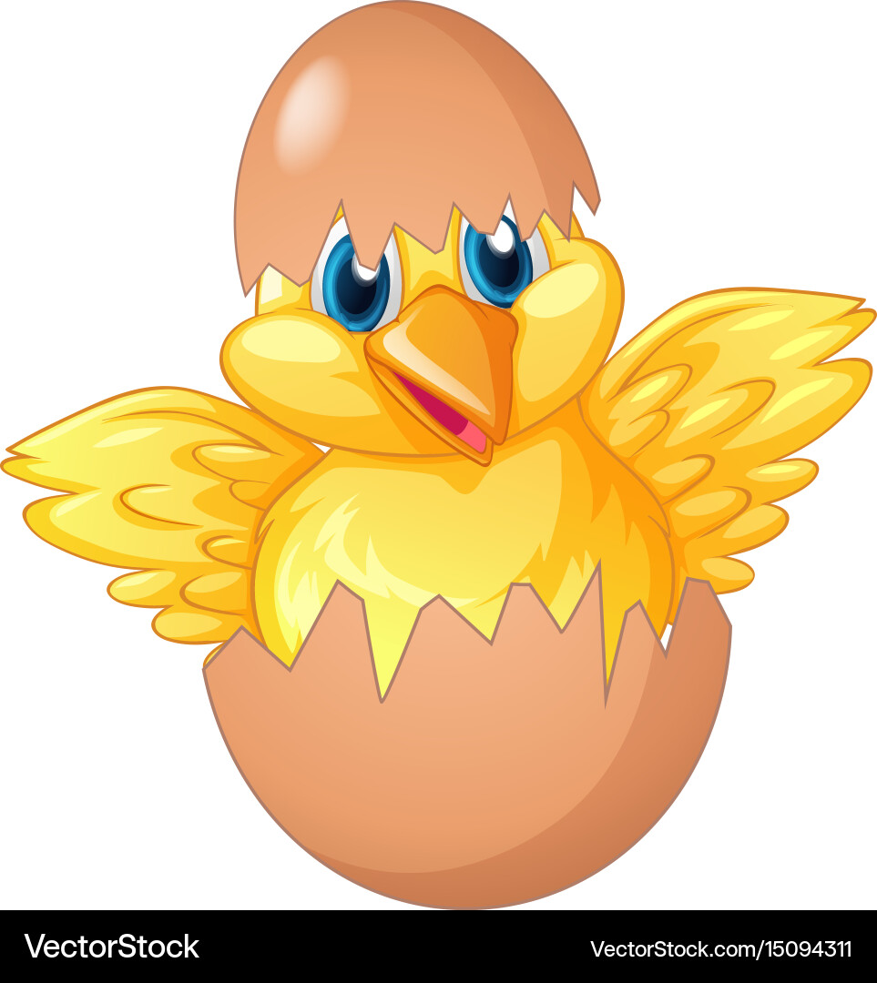Little chick hatching egg Royalty Free Vector Image - VectorStock