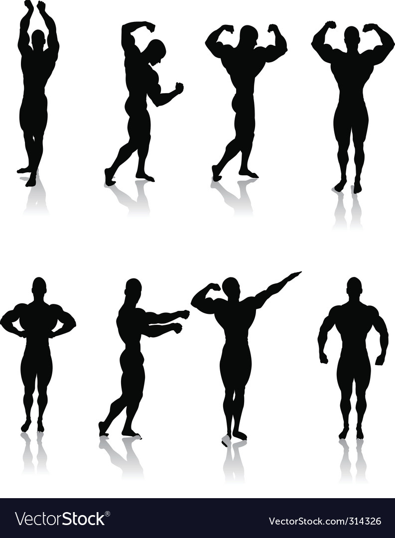 Classic bodybuilding poses Royalty Free Vector Image - VectorStock