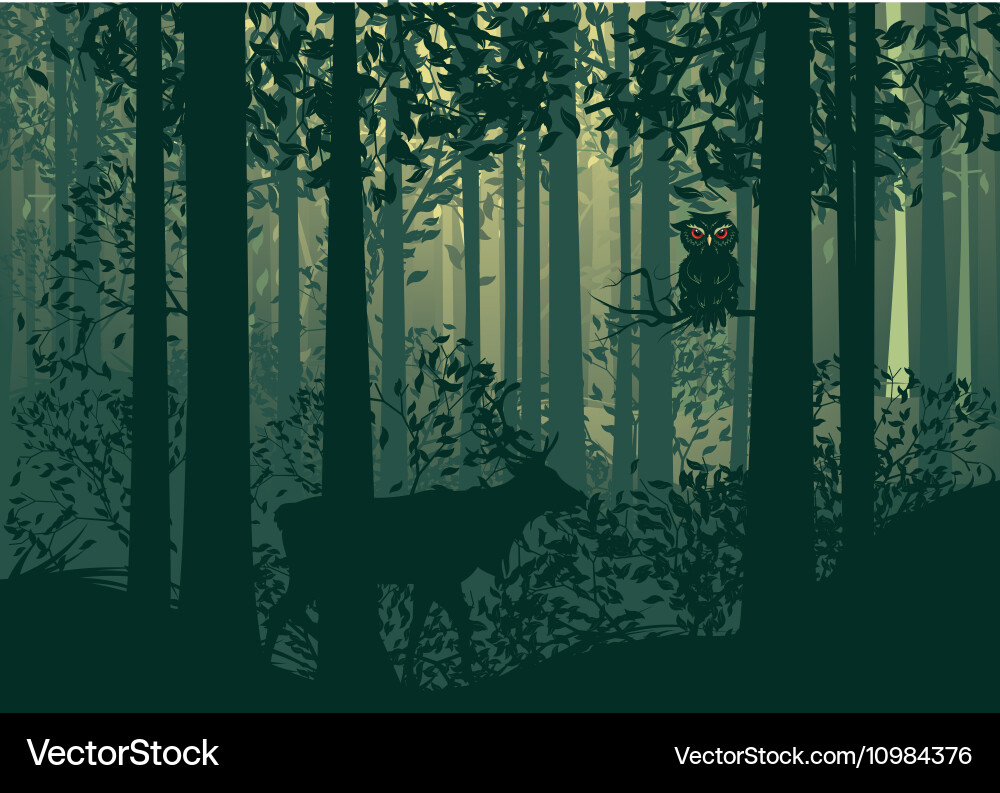 Forest Trees Vector