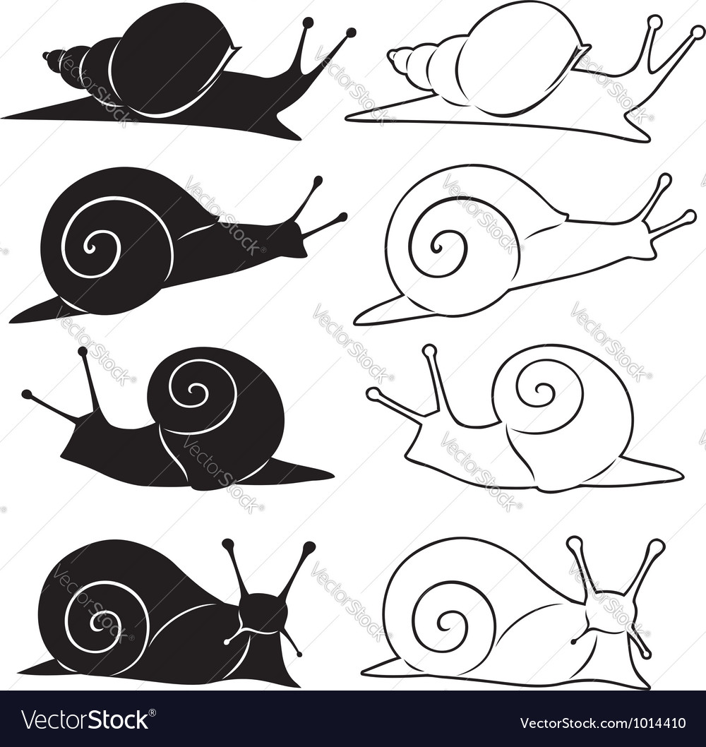 Snail Royalty Free Vector Image - VectorStock
