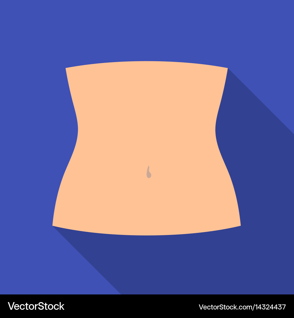 Abdomen icon in flat style isolated on white Royalty Free Vector Image ...