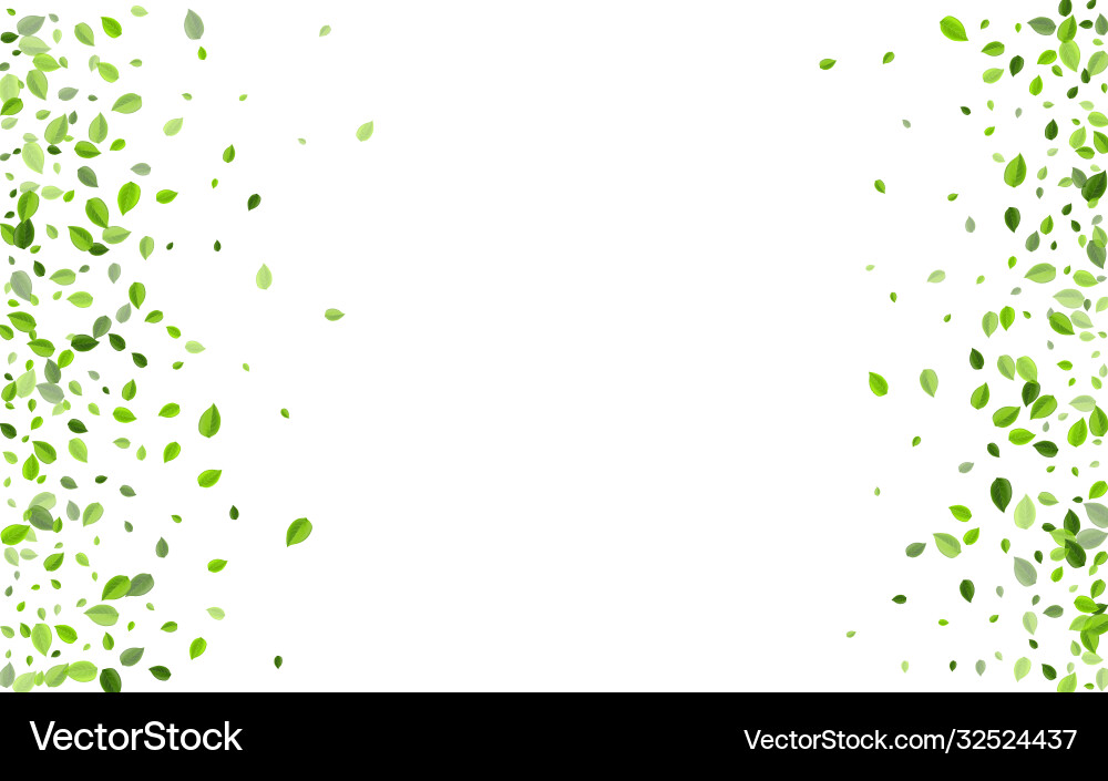 Forest leaves motion template spring leaf Vector Image