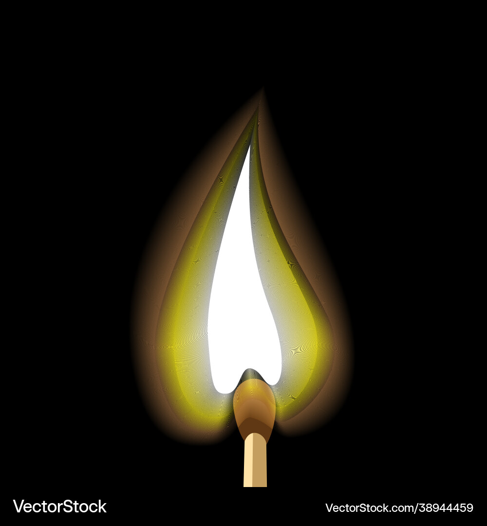 Burning match fire on a black Royalty Free Vector Image