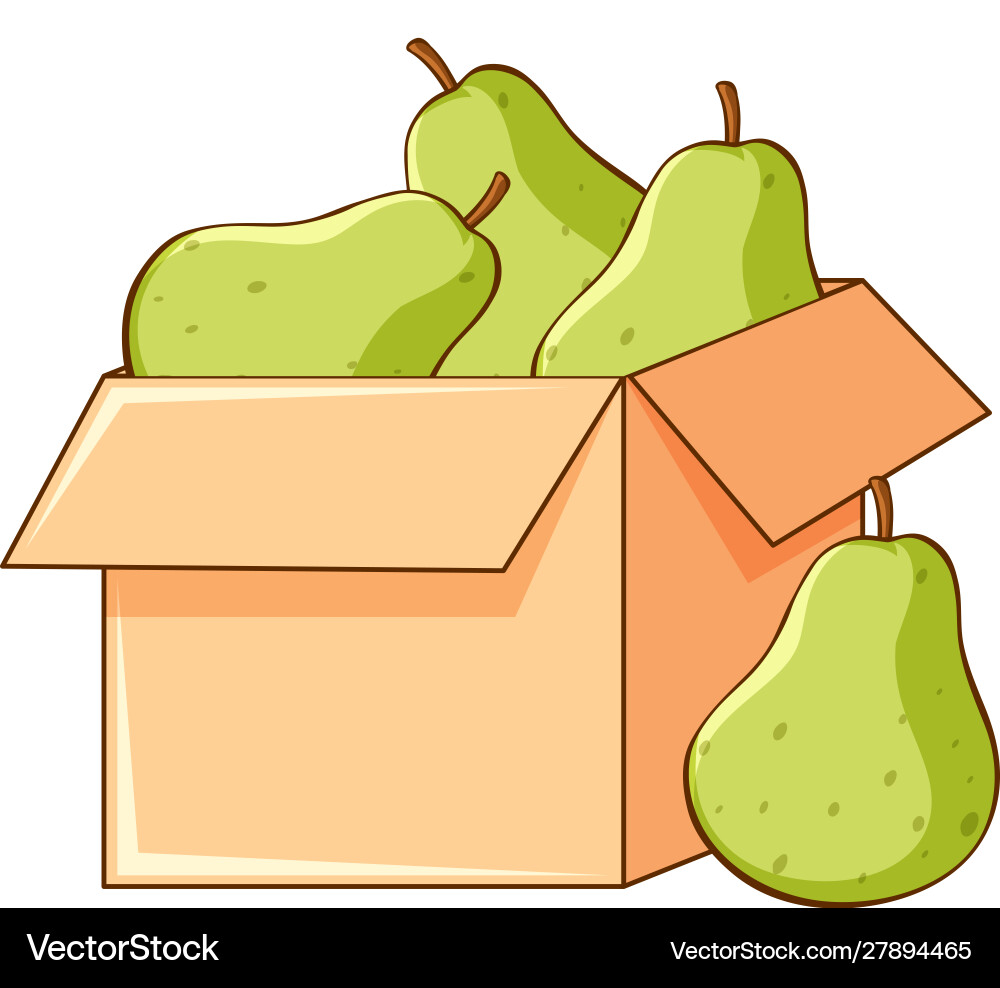 Box pears on white background Royalty Free Vector Image