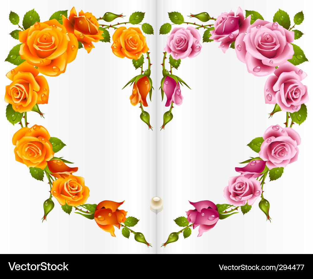 Red and white rose frame Royalty Free Vector Image