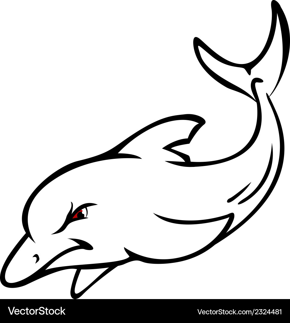 Angry dolphin sketch Royalty Free Vector Image