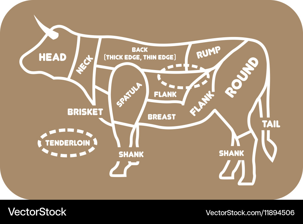 Beef Cuts Chart cow Royalty Free Vector Image - VectorStock