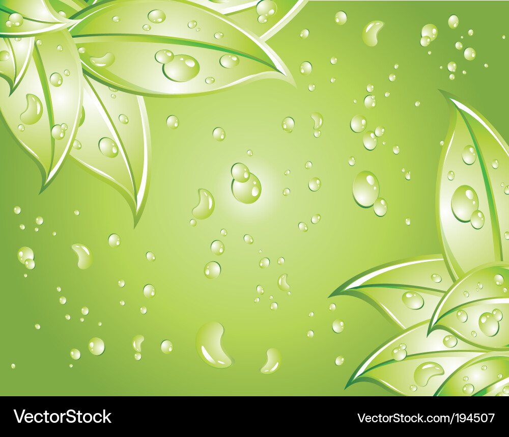 Green leaves background Royalty Free Vector Image