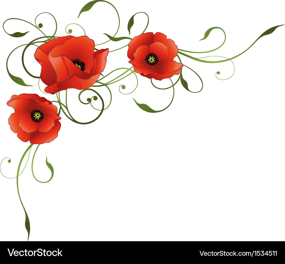 Poppies floral element border Royalty Free Vector Image