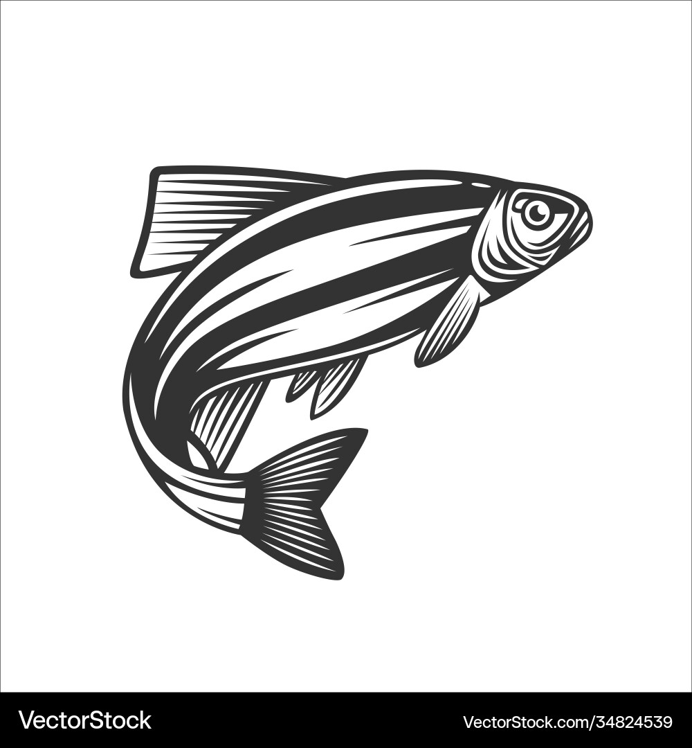Fish fresh seafood template design Royalty Free Vector Image