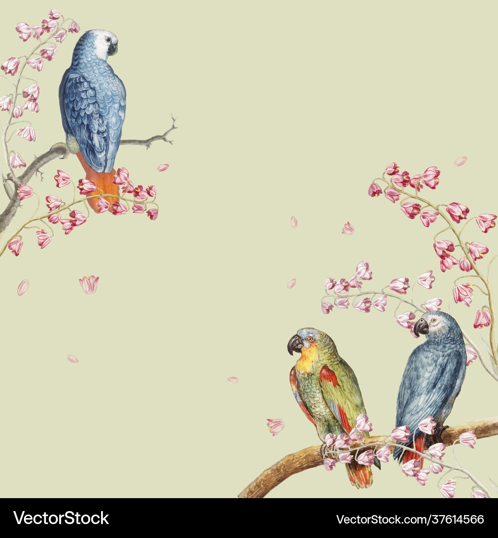 Parrots mockup border Royalty Free Vector Image