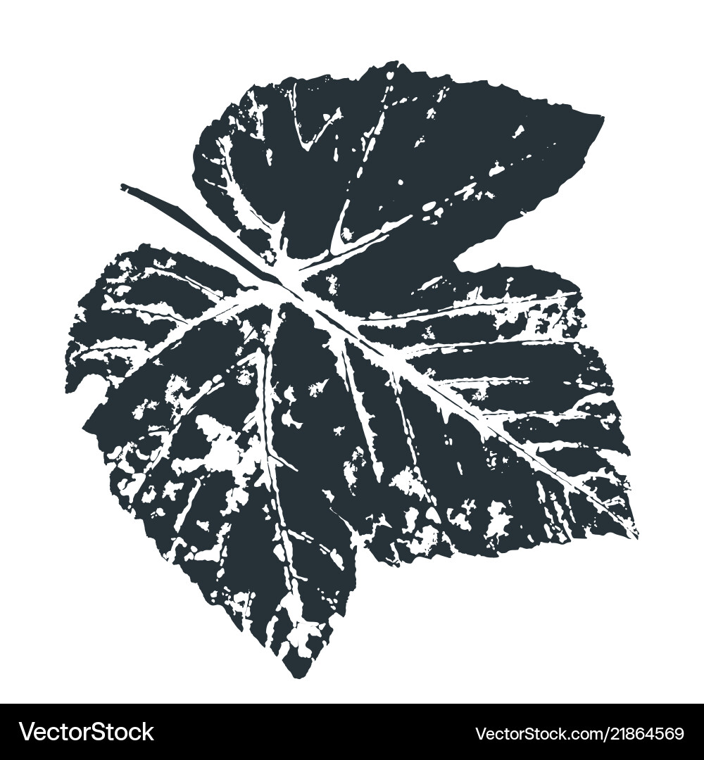 Grape leaf print inkprinted leaves Royalty Free Vector Image