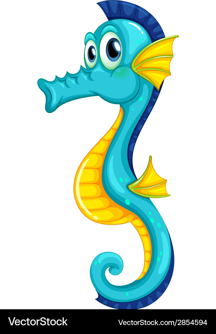 Seahorse Royalty Free Vector Image - VectorStock