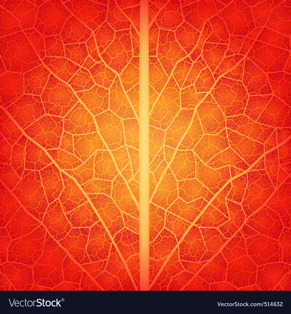 Leaves Free Vector Graphics | Everypixel