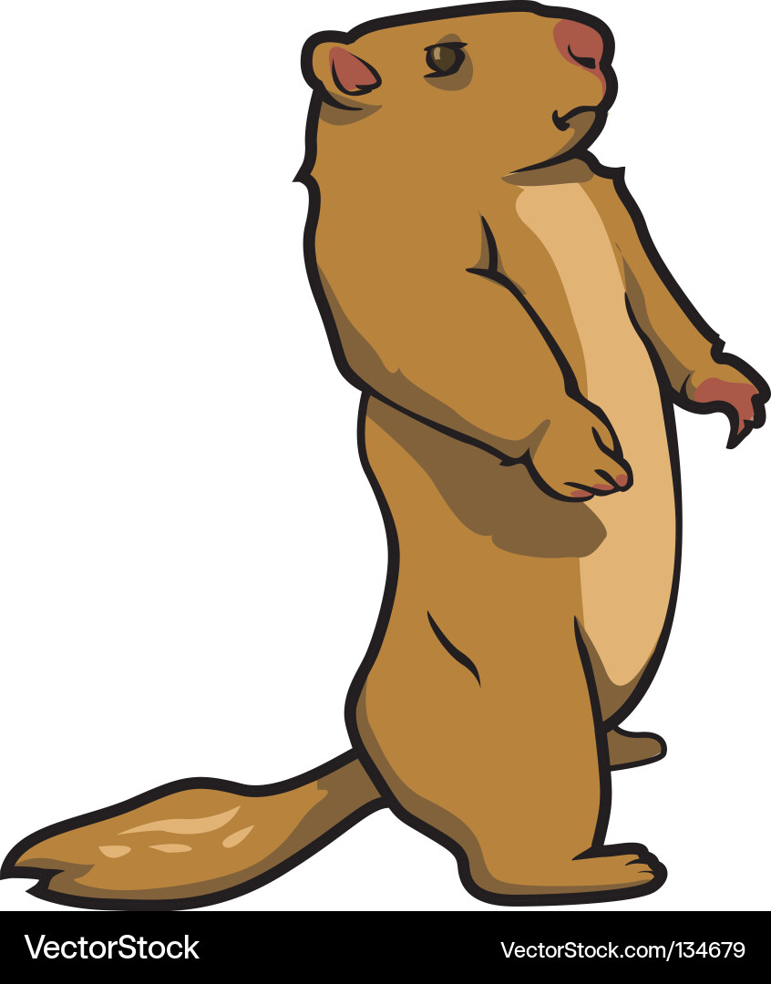 Prairie dog Royalty Free Vector Image - VectorStock
