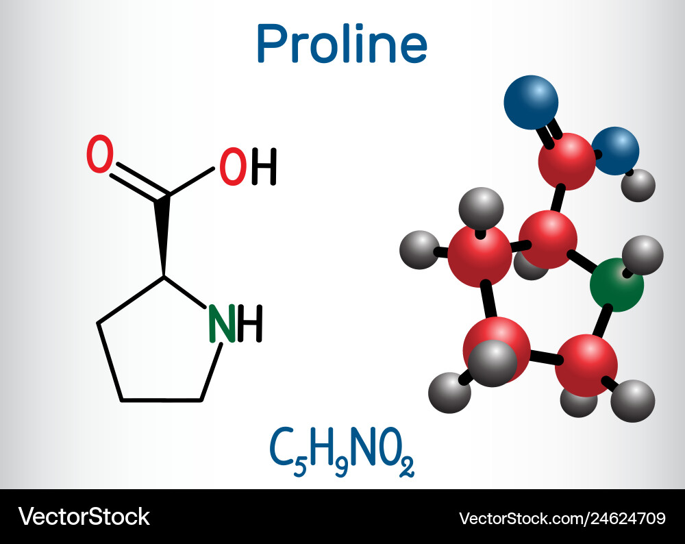 Proline l- pro p proteinogenic amino Royalty Free Vector