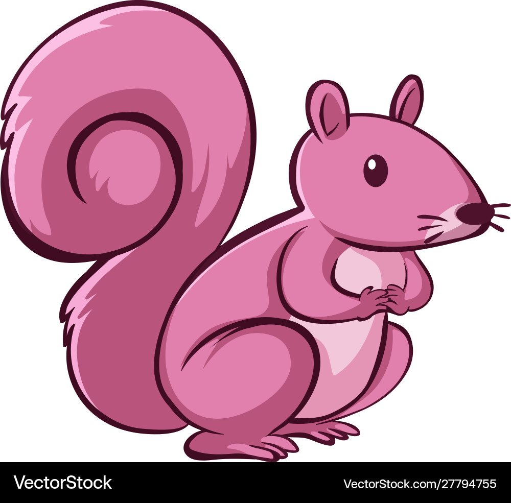 Pink squirrel on white background Royalty Free Vector Image