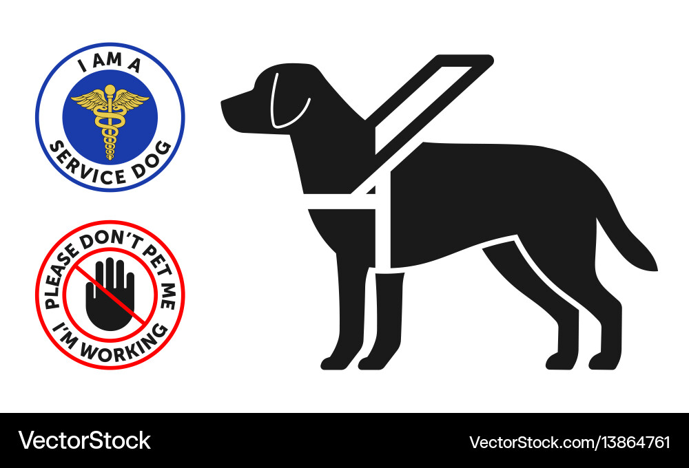Guide-dog symbol with two round service dog badges