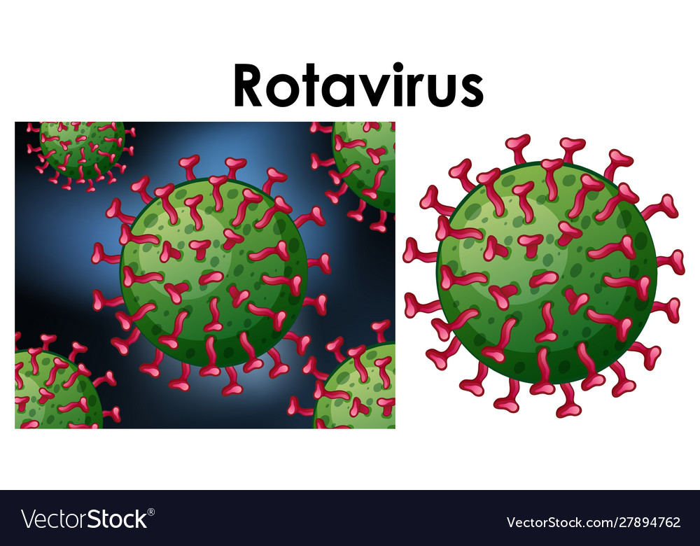 Close up isolated object virus rotavirus Vector Image Close up isolated object virus rotavirus Vector Image