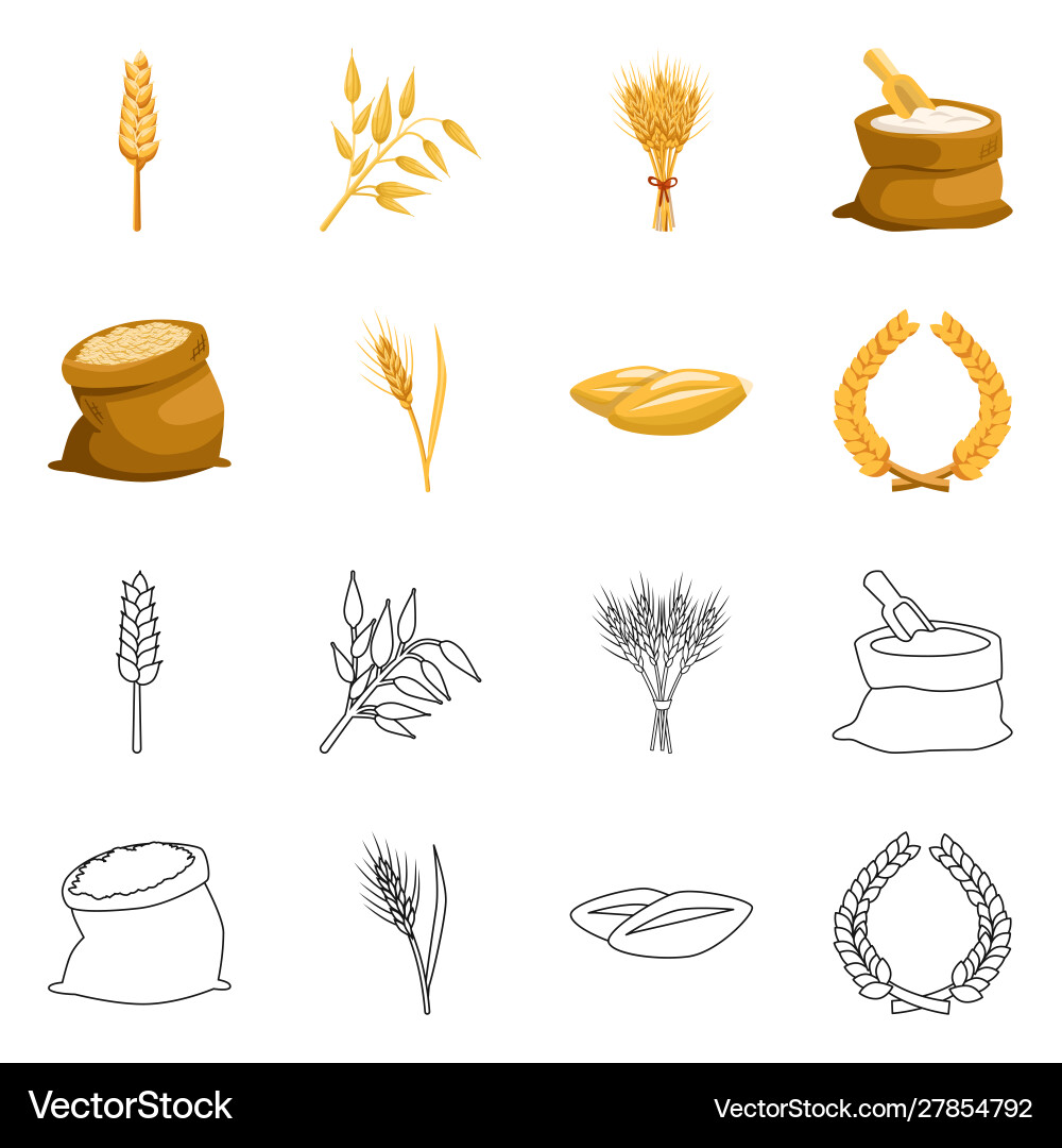 Isolated object grain and harvest symbol Vector Image