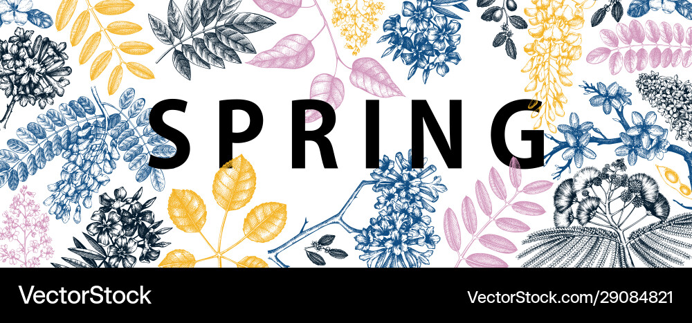 Banner with spring trees in flowers hand d Vector Image