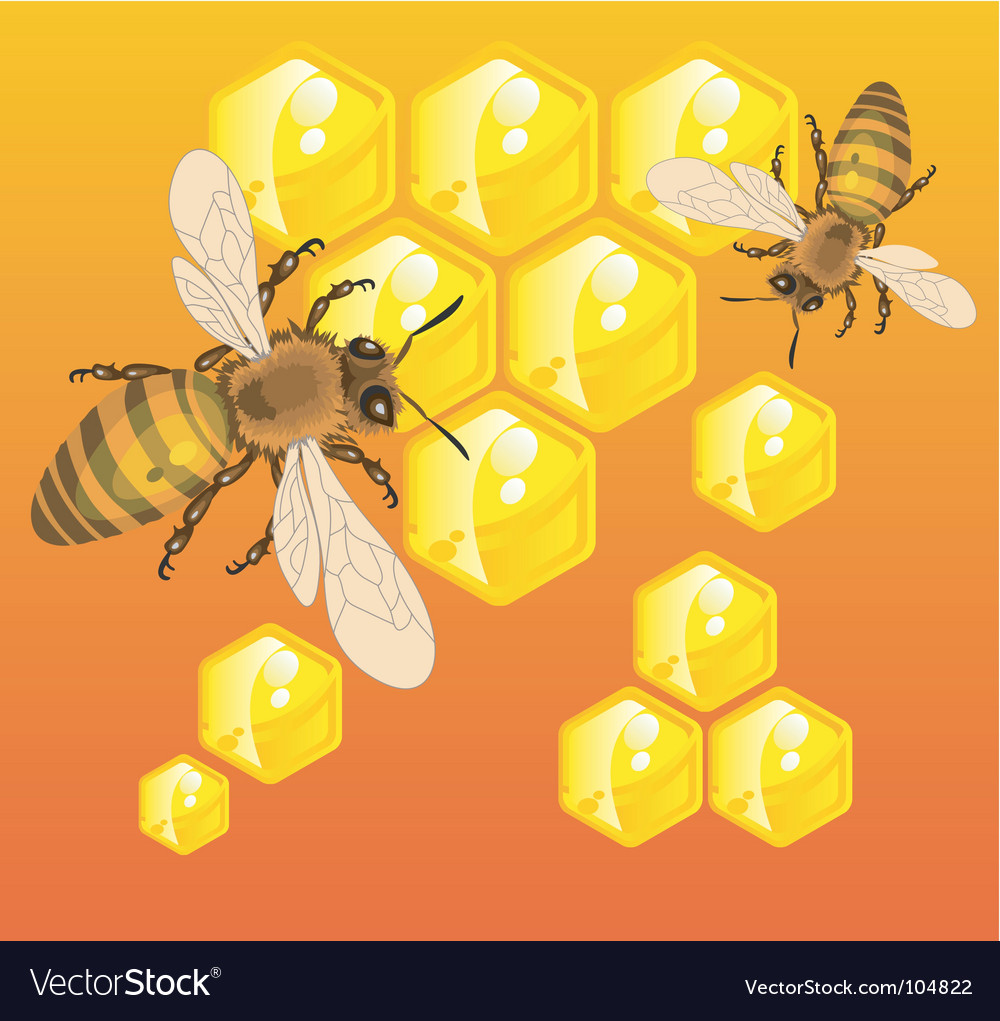 Bees Royalty Free Vector Image - VectorStock
