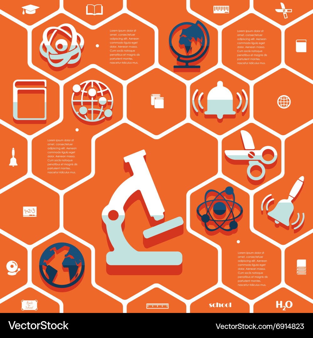 Education Flat Infographic Royalty Free Vector Image