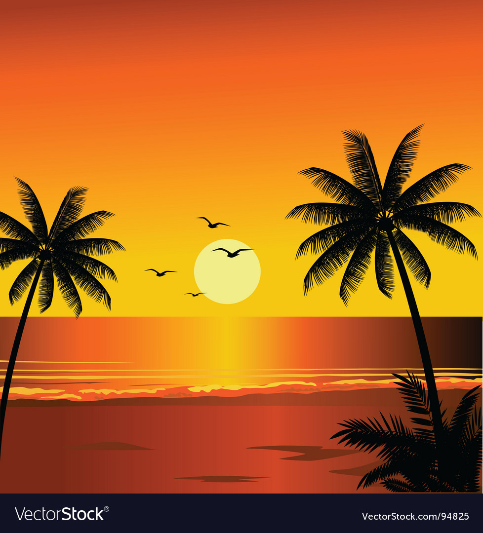 Beach sunset Royalty Free Vector Image - VectorStock Beach sunset Royalty Free Vector Image - VectorStock