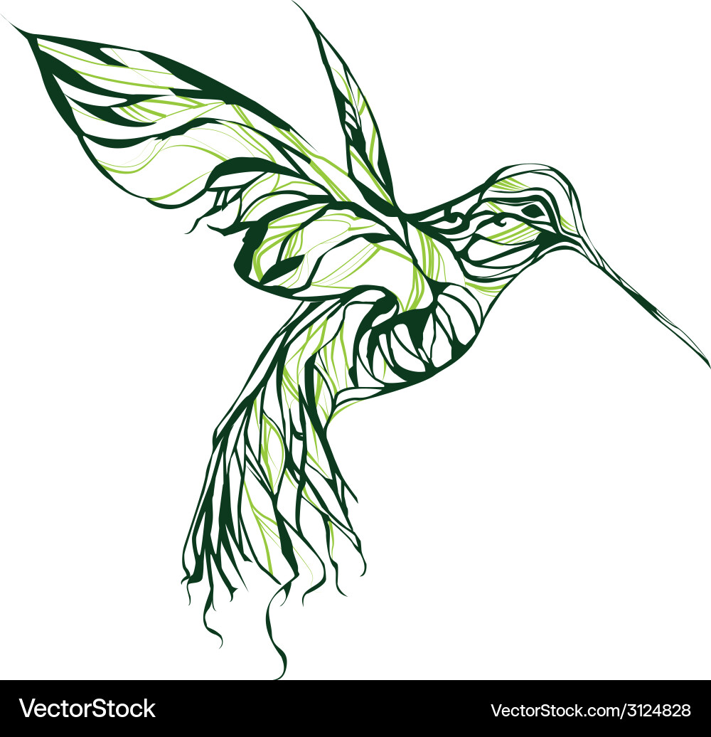 Green Colibri Royalty Free Vector Image - VectorStock