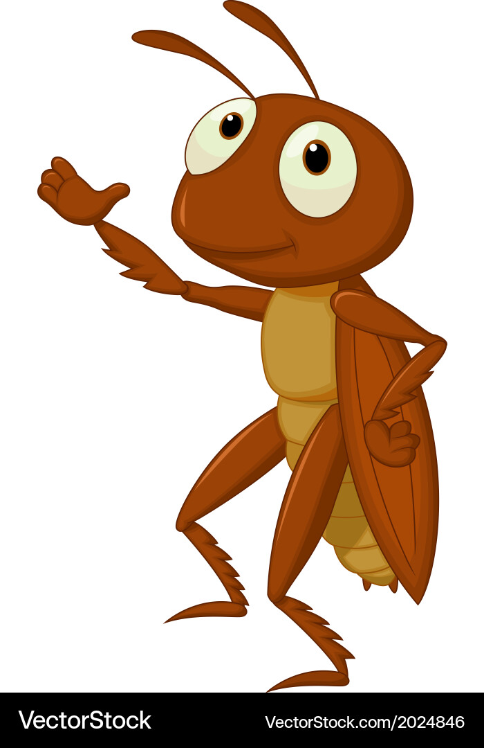 Cute cricket cartoon presenting Royalty Free Vector Image
