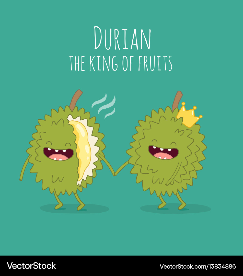 Funny durian fruits Royalty Free Vector Image - VectorStock