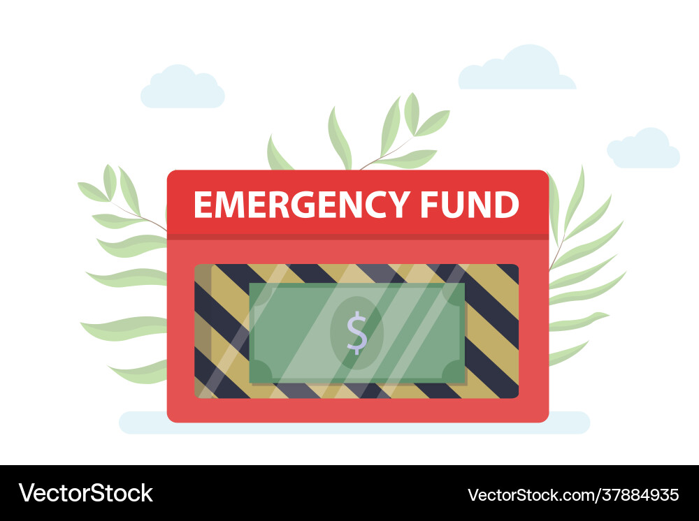 Emergency fund or money on red box Royalty Free Vector Image