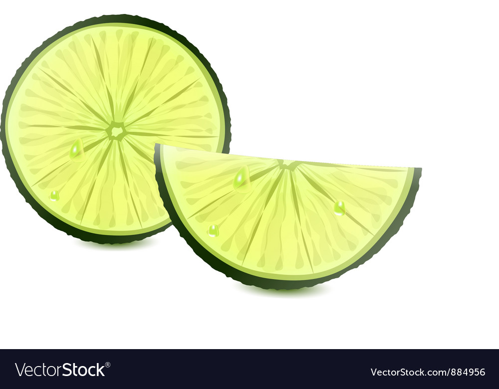 Lime Royalty Free Vector Image - VectorStock