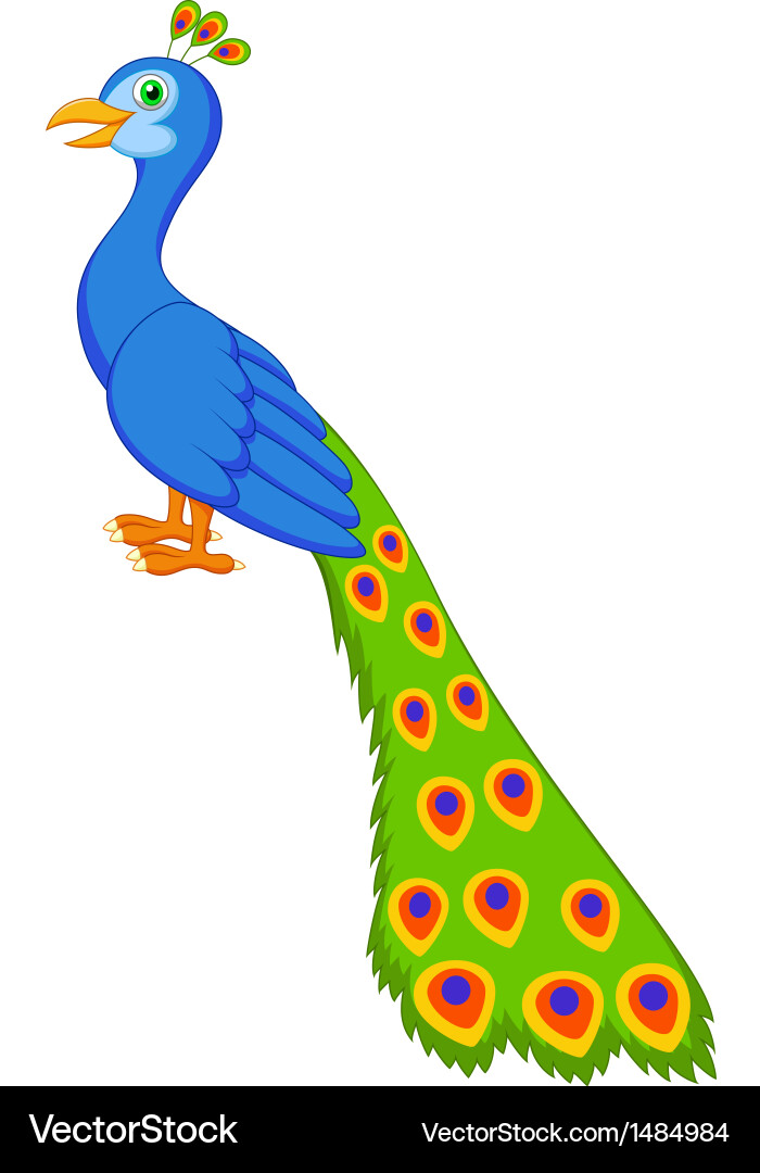 Cute peacock cartoon Royalty Free Vector Image