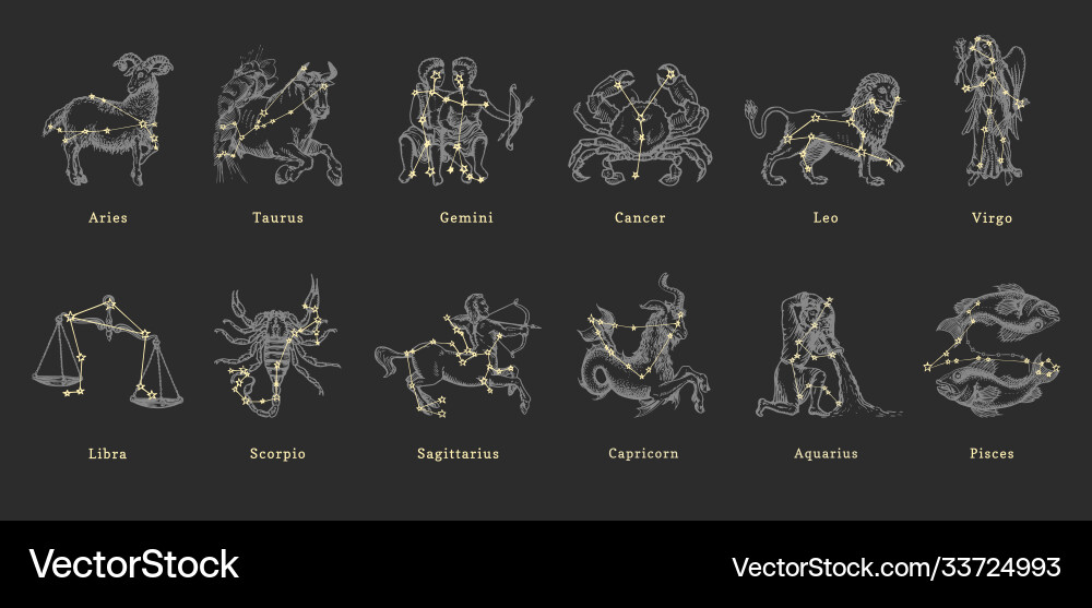 Retro graphic zodiac signs Royalty Free Vector Image