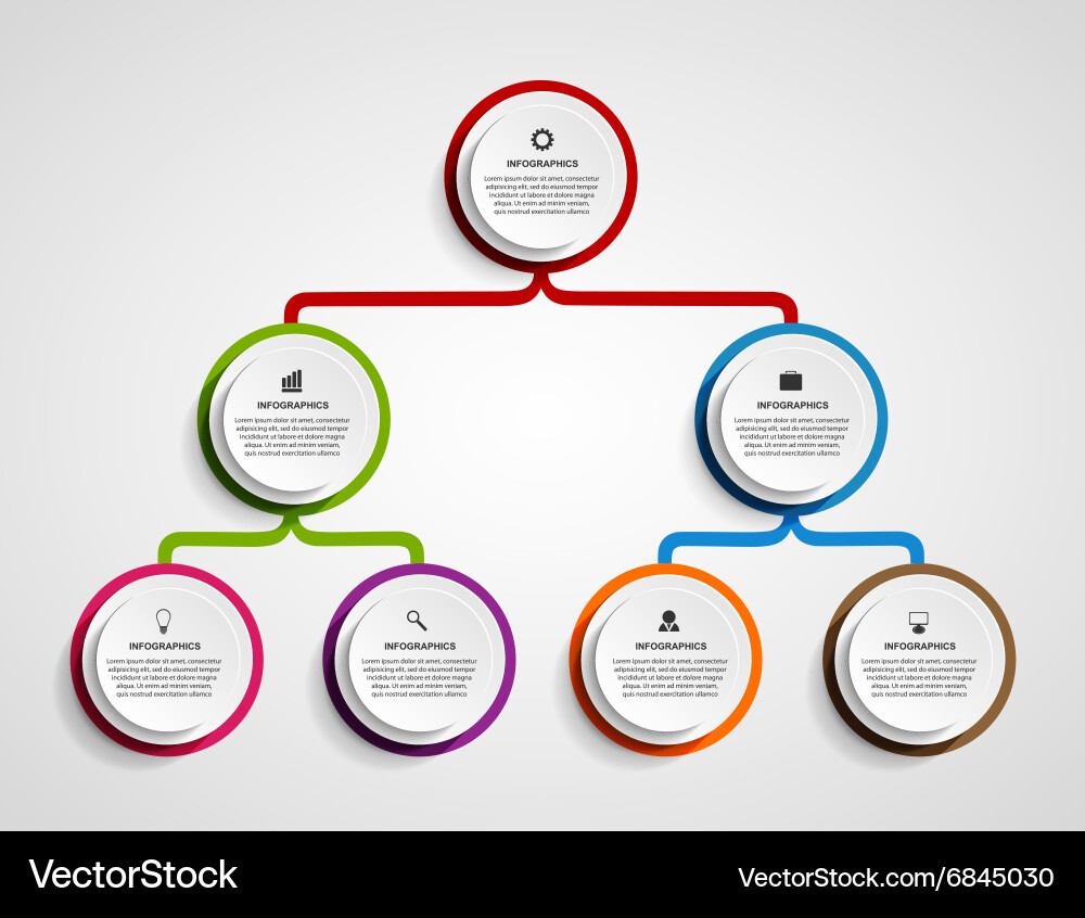 Infographic design organization chart template Vector Image