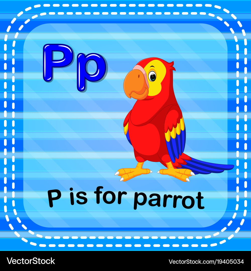 Flashcard letter p is for parrot Royalty Free Vector Image