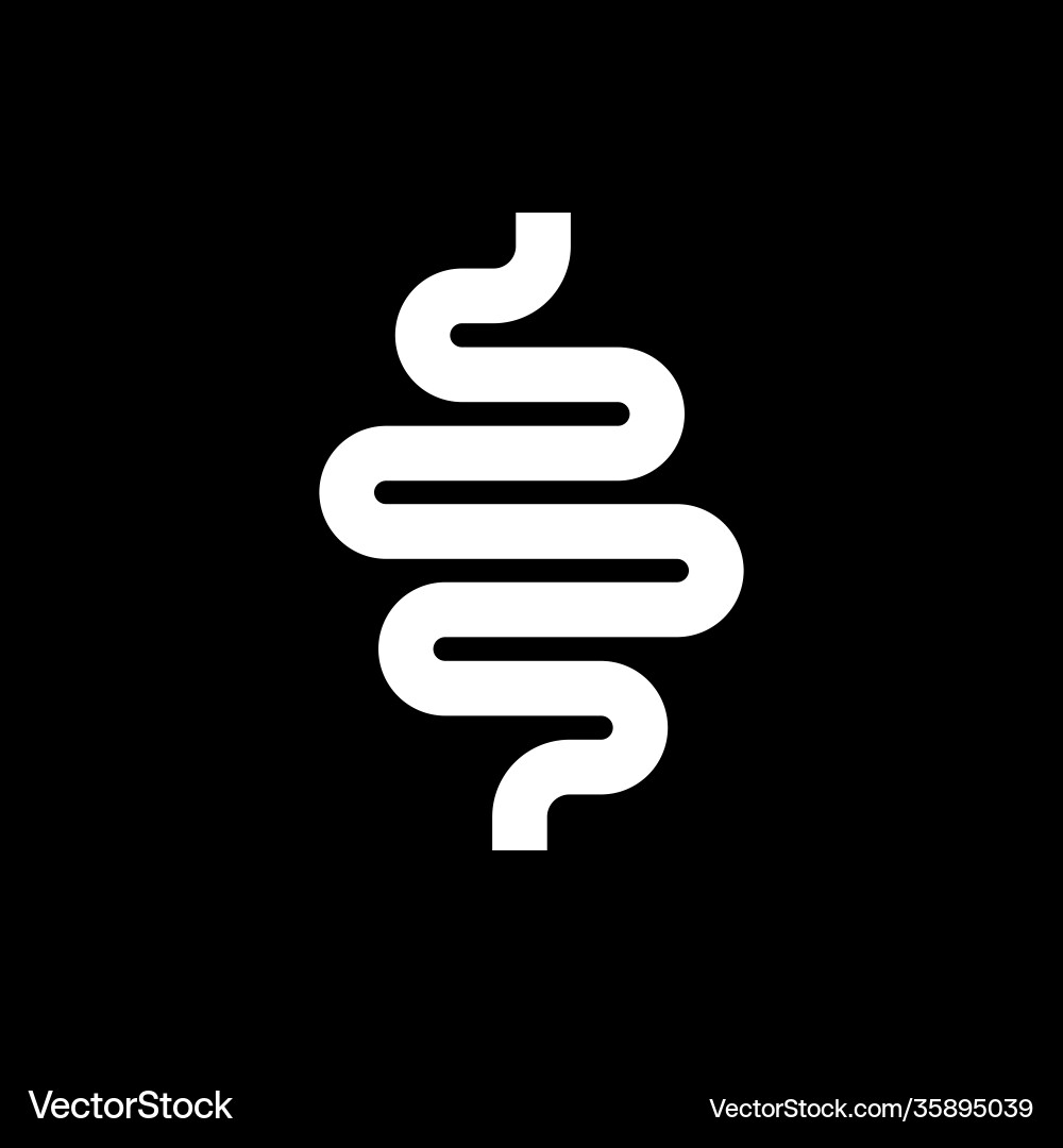 Intestines glyph icon or digestion system symbol Vector Image