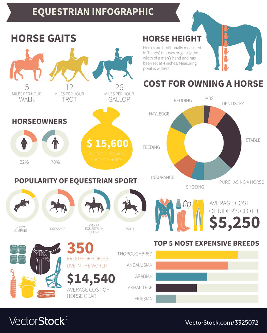 Equestrian infographic Royalty Free Vector Image