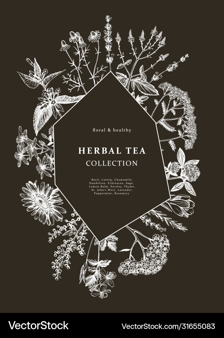 Hand drawn medicinal herbs frame design Royalty Free Vector