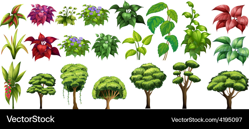 Trees and flowers Royalty Free Vector Image - VectorStock