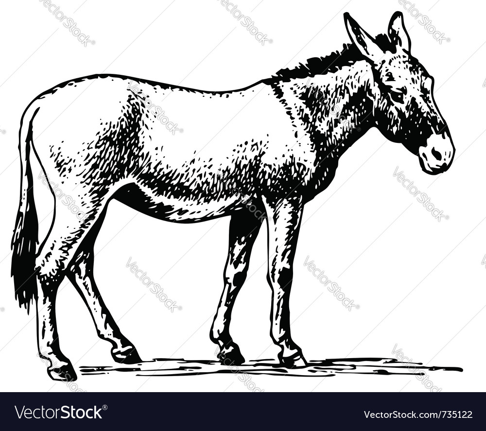 Donkey Royalty Free Vector Image - VectorStock
