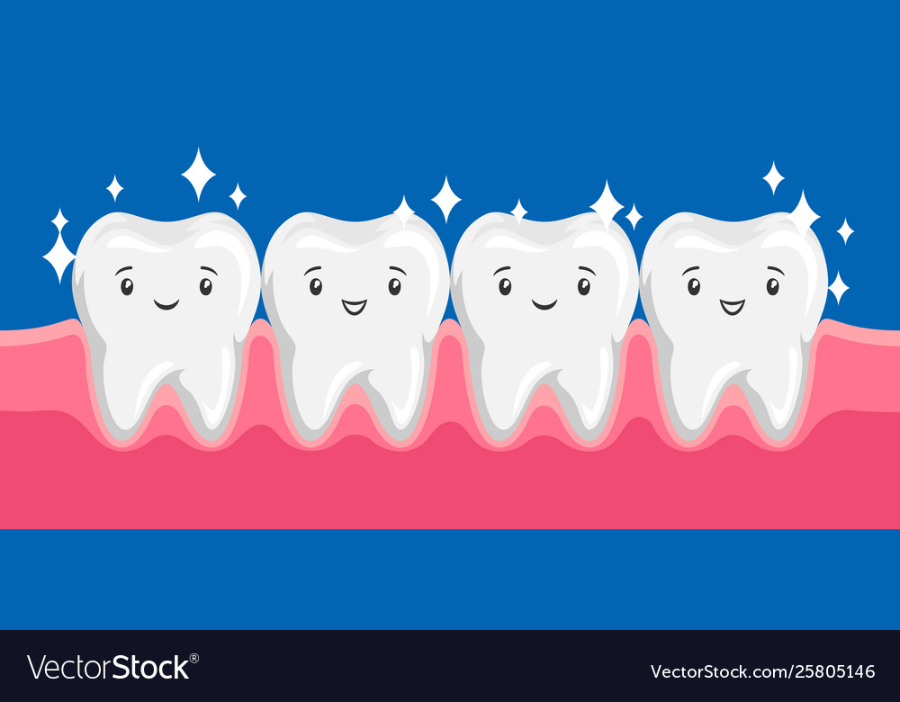 Smiling clean healthy teeth Royalty Free Vector Image