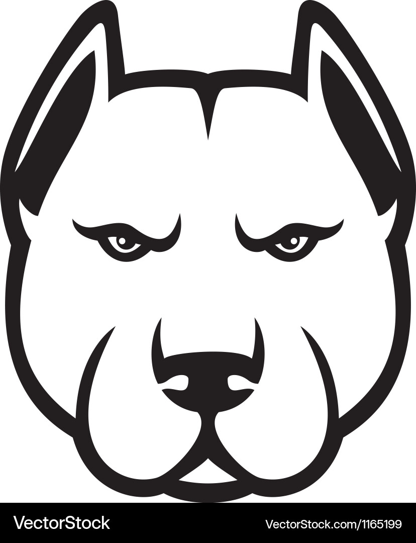 Pit bull head Royalty Free Vector Image - VectorStock