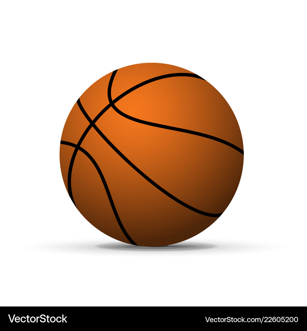Realistic basketball ball Royalty Free Vector Image