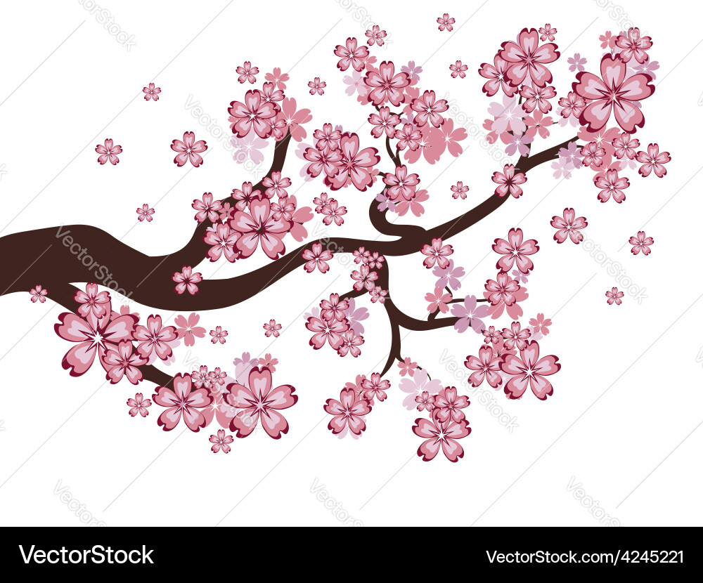 Blooming Sakura Branch Royalty Free Vector Image