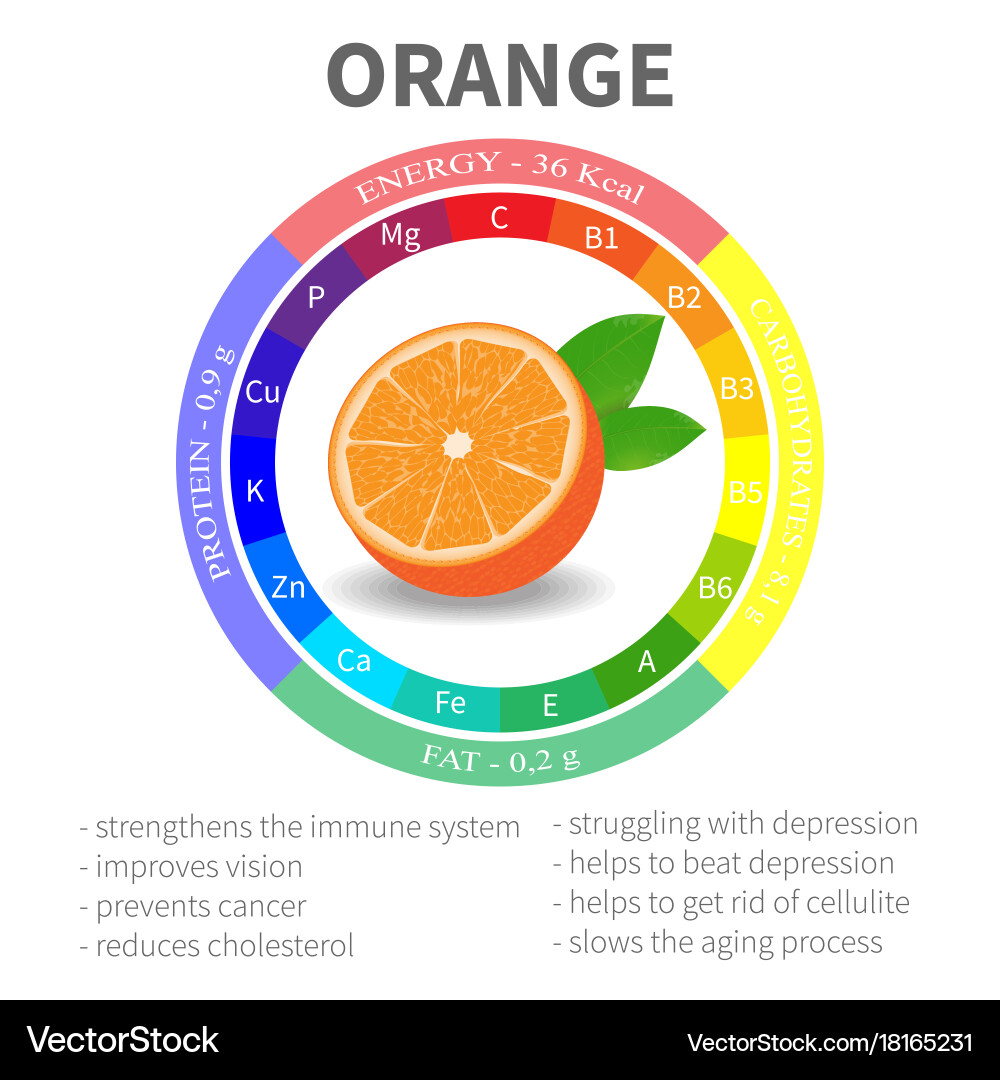 Infographics about nutrients in orange Royalty Free Vector