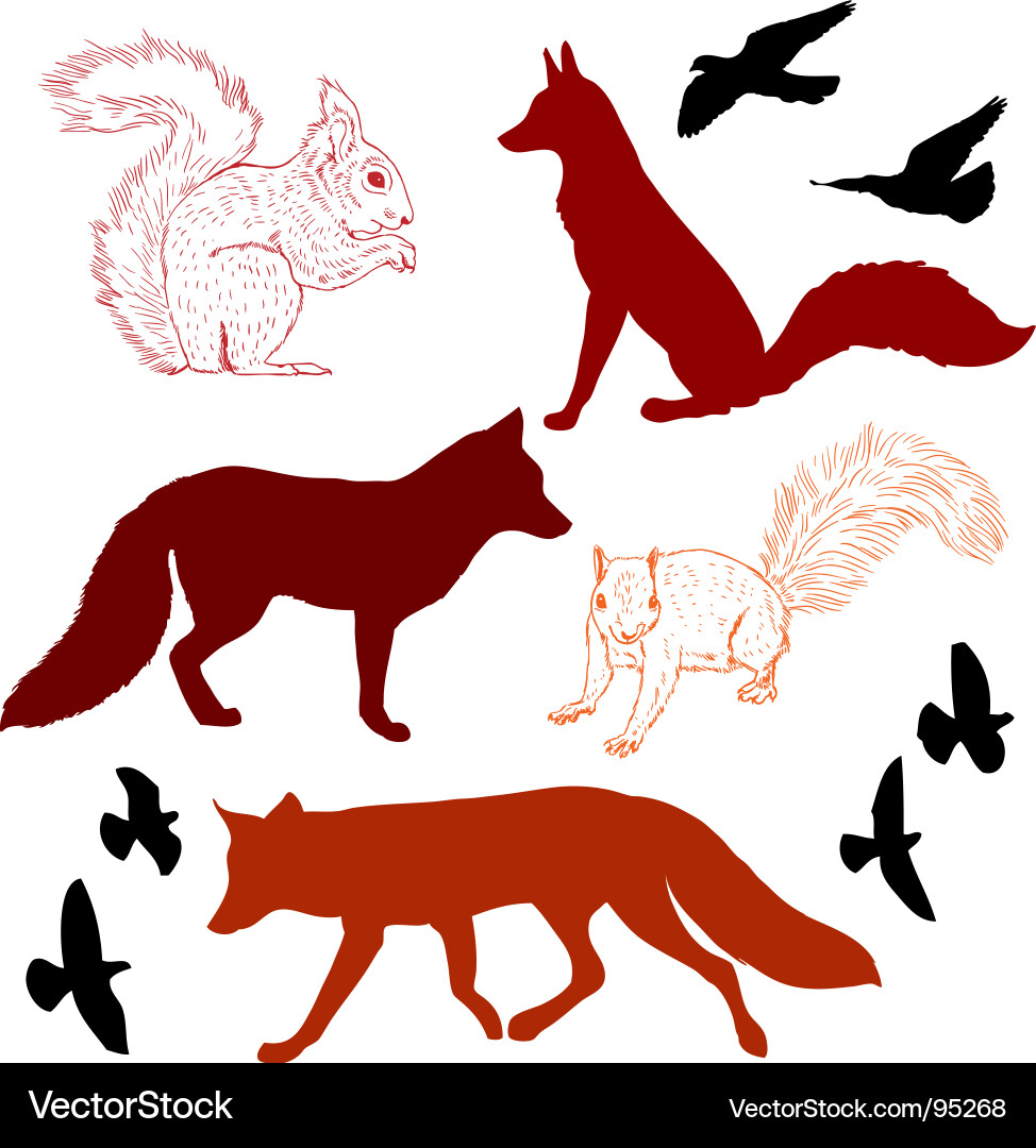 Forest critters Royalty Free Vector Image - VectorStock