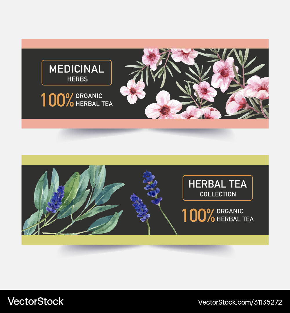 Herbal tea banner design with lavender sage peach Vector Image